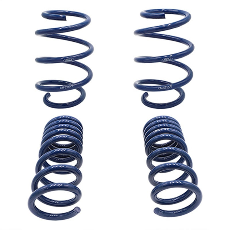 Ford Racing 2015-2017 Mustang GT350 Lowering Springs – Fuel Injector ...
