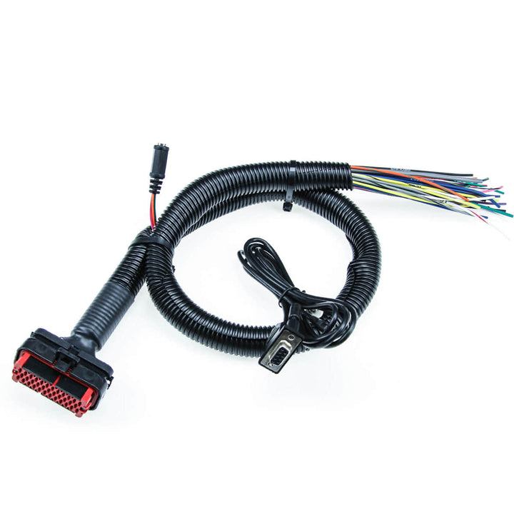 MicroSquirt 30″ Pigtail Harness – Fuel Injector Connection